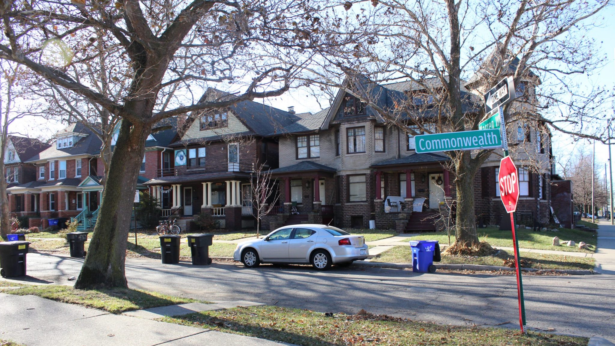 Detroit accepting applications for free tree planting - WDET 101.9 FM