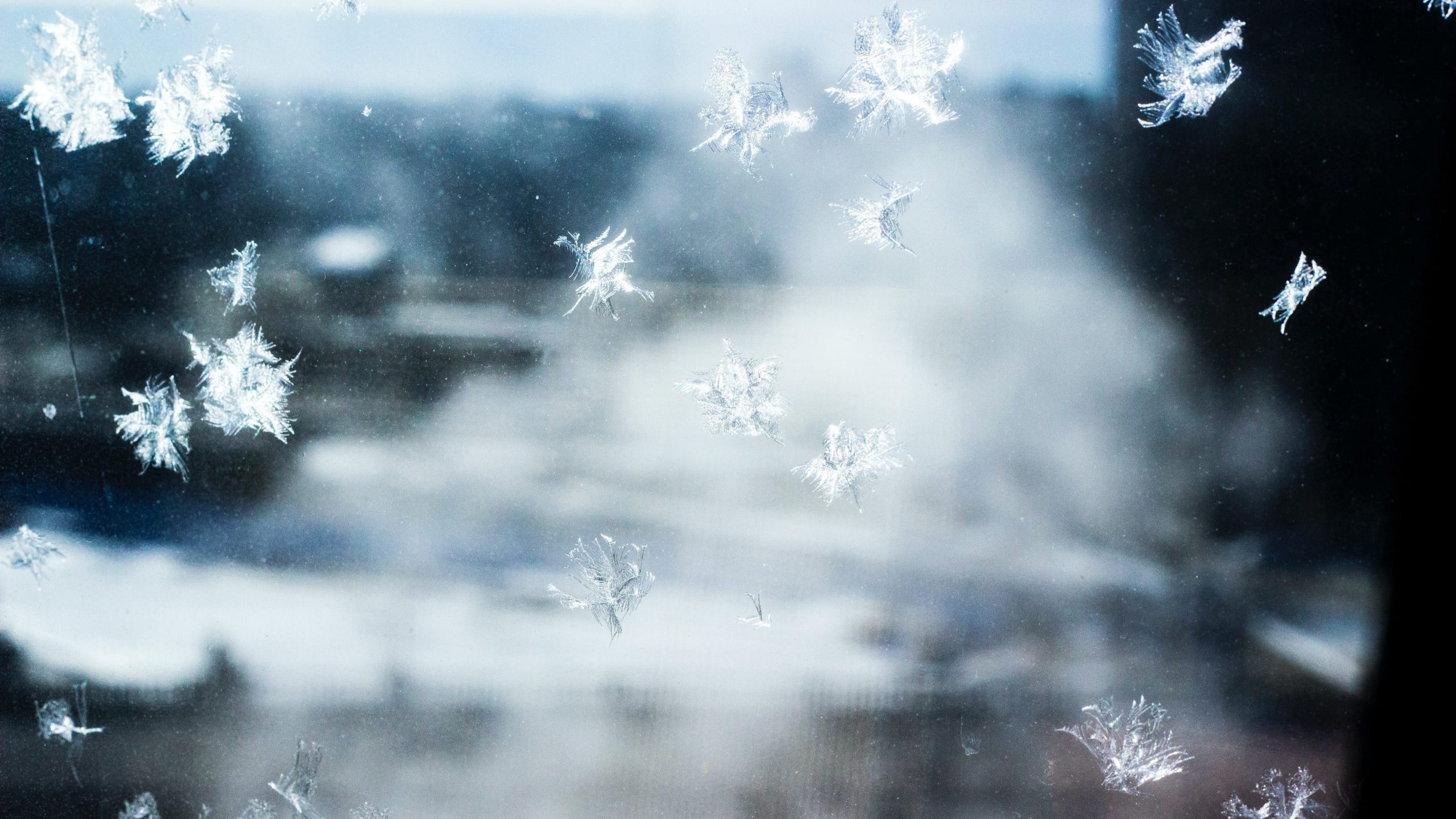 Ice storm warning issued for parts of SE Michigan starting Wednesday ...