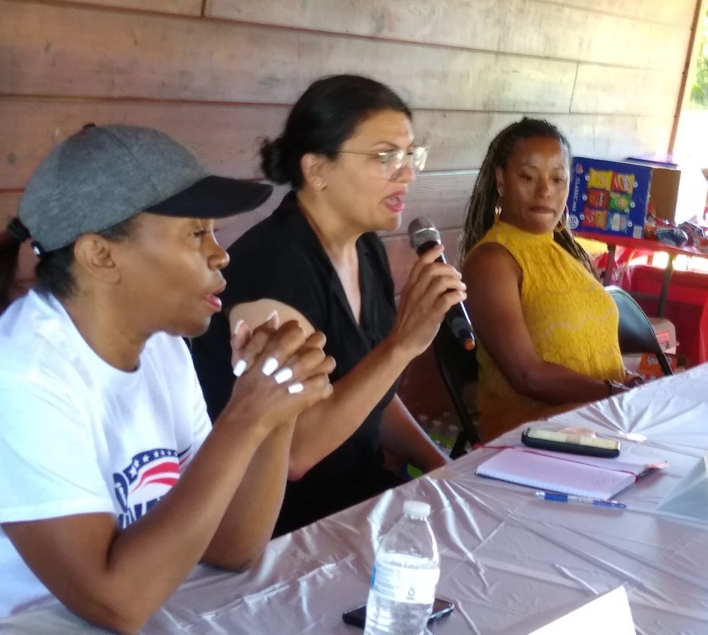 Rashida Tlaib's challengers hope to gain ground in 12th Congressional ...