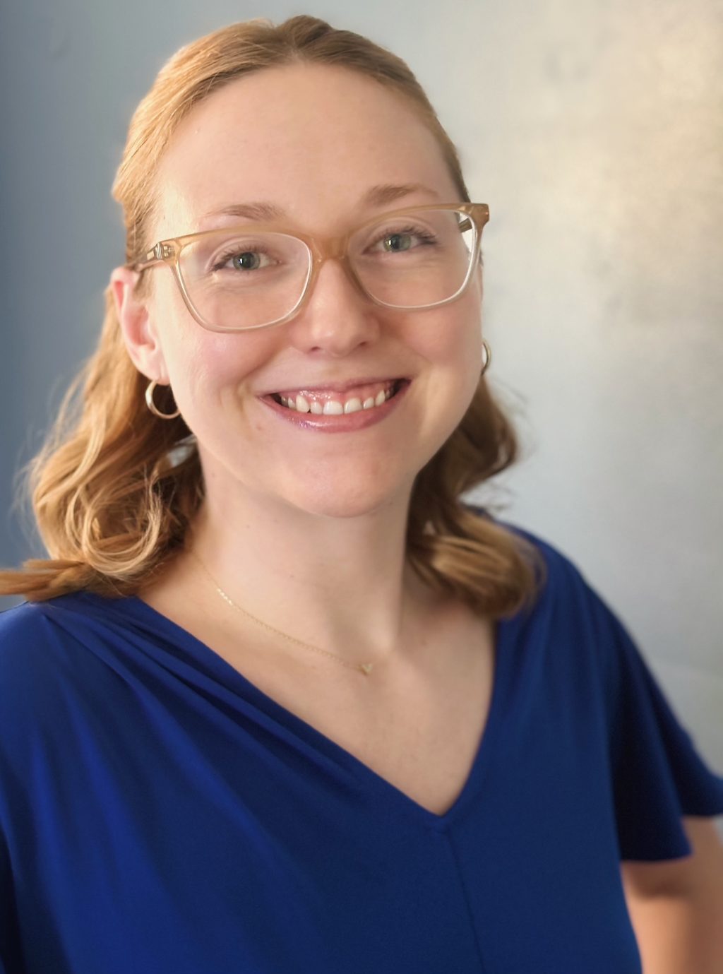 Michigan Primary 2024 Voter Guide: Oakland County Board of ...