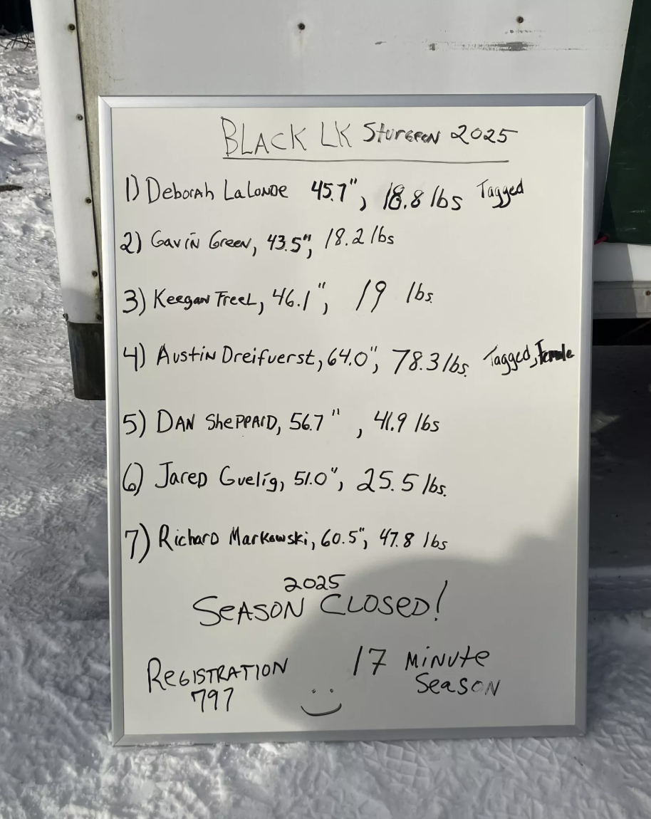 Michigan's limited sturgeon season broke records for participation ...