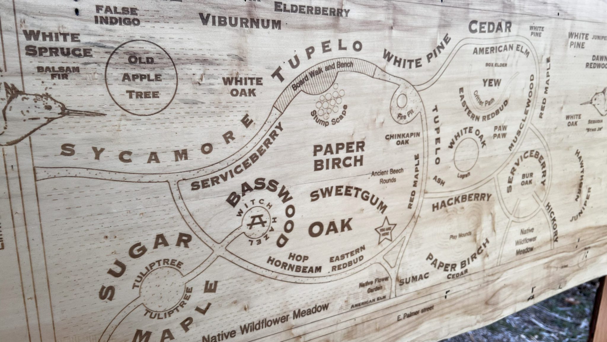 Detroit nonprofit Arboretum Detroit brings new life to vacant lots with ...